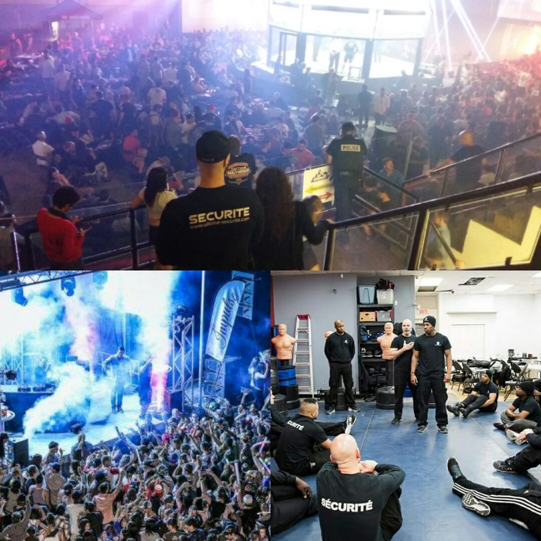 Bodyguard and Executive Protection Agent | VIP Protection Experts